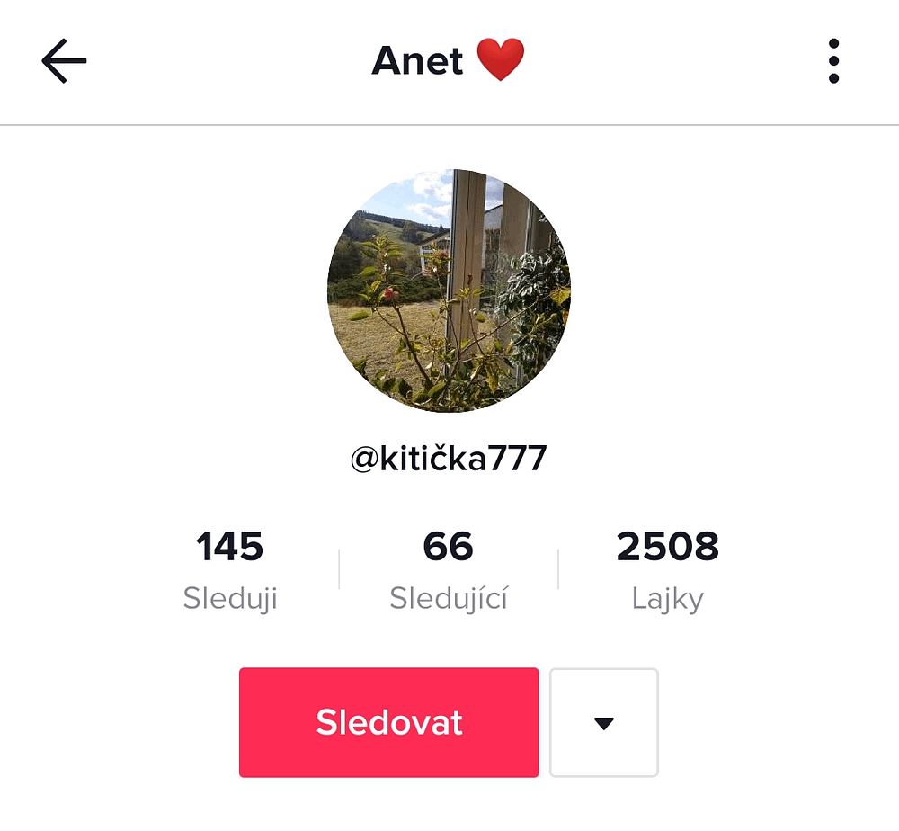 Jak na TikTok Marketing - MARTIN SOVA